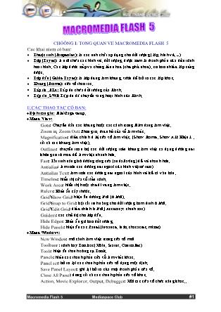 Tài liệu MacroMedia Flash 5